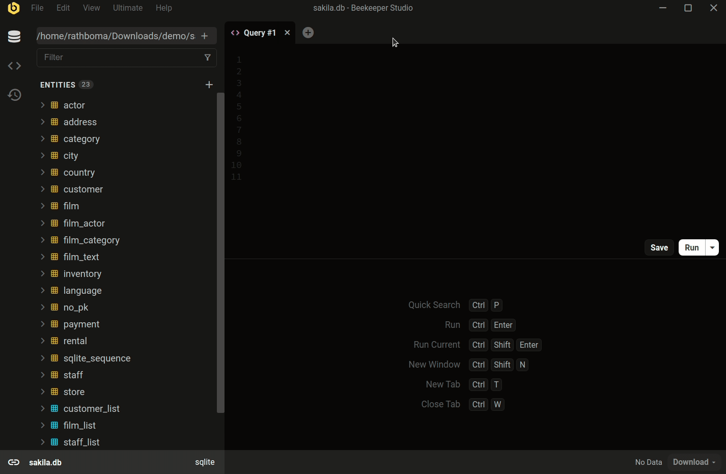 Data Browser Beekeeper Studio